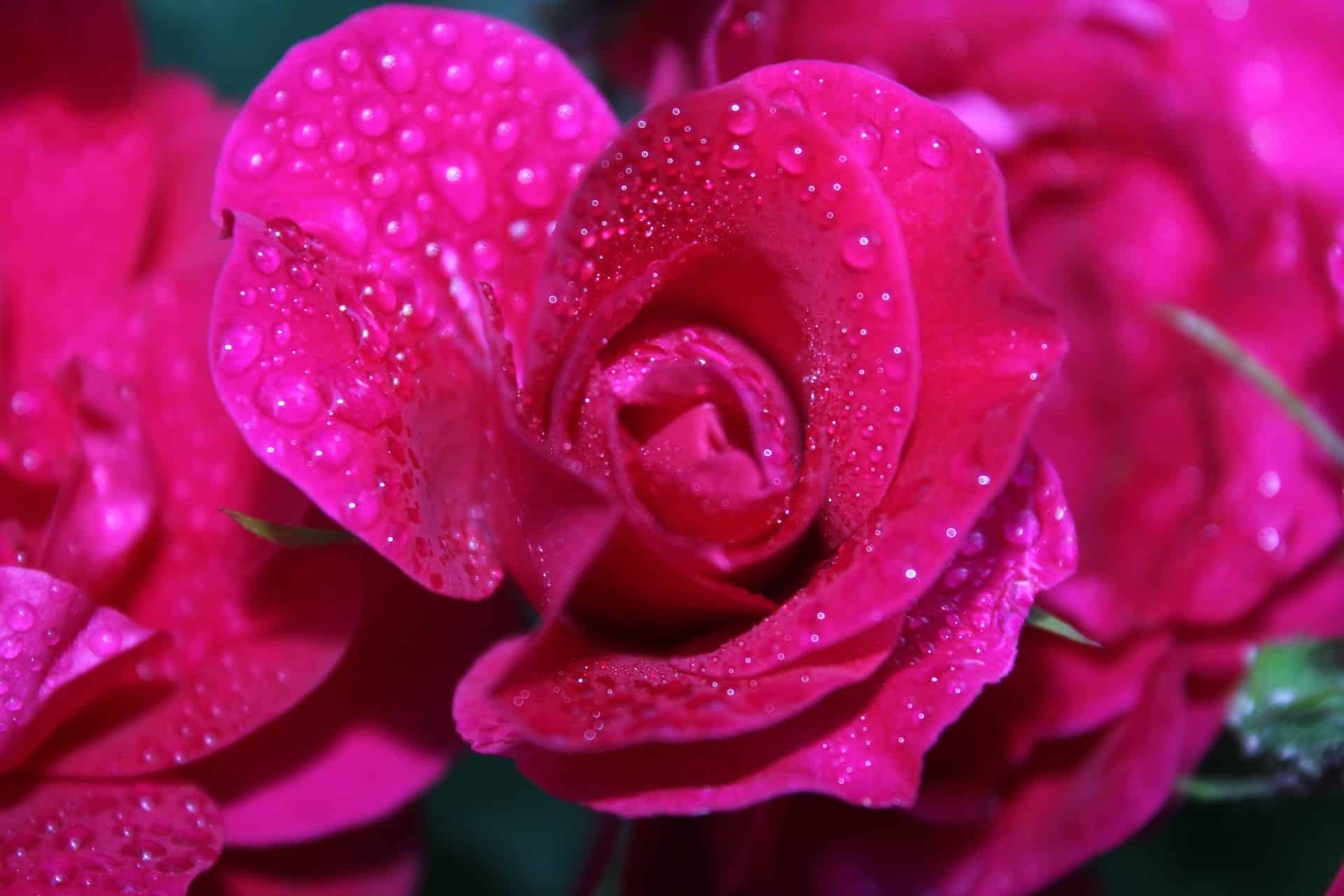 The Importance Of Sexual Pleasure